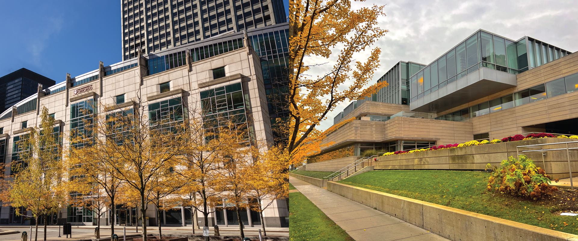 Chicago Booth This or That: Daily Booth Life Edition | The University ...