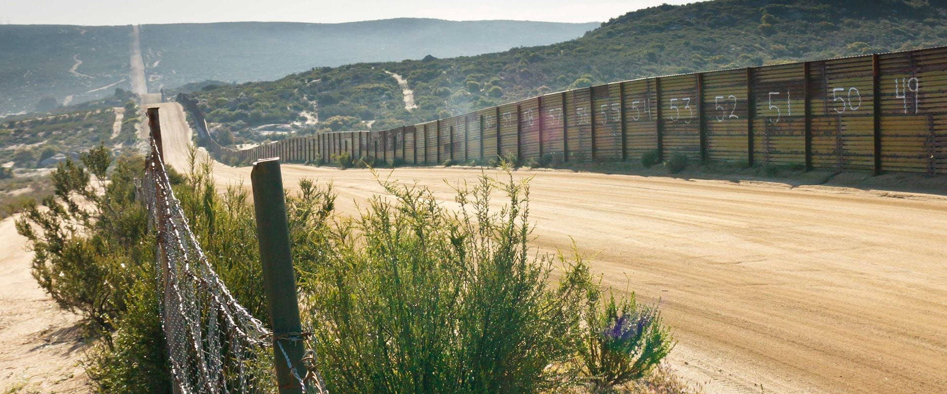 Why the US Should Free Its Immigration Policies | Chicago Booth Review