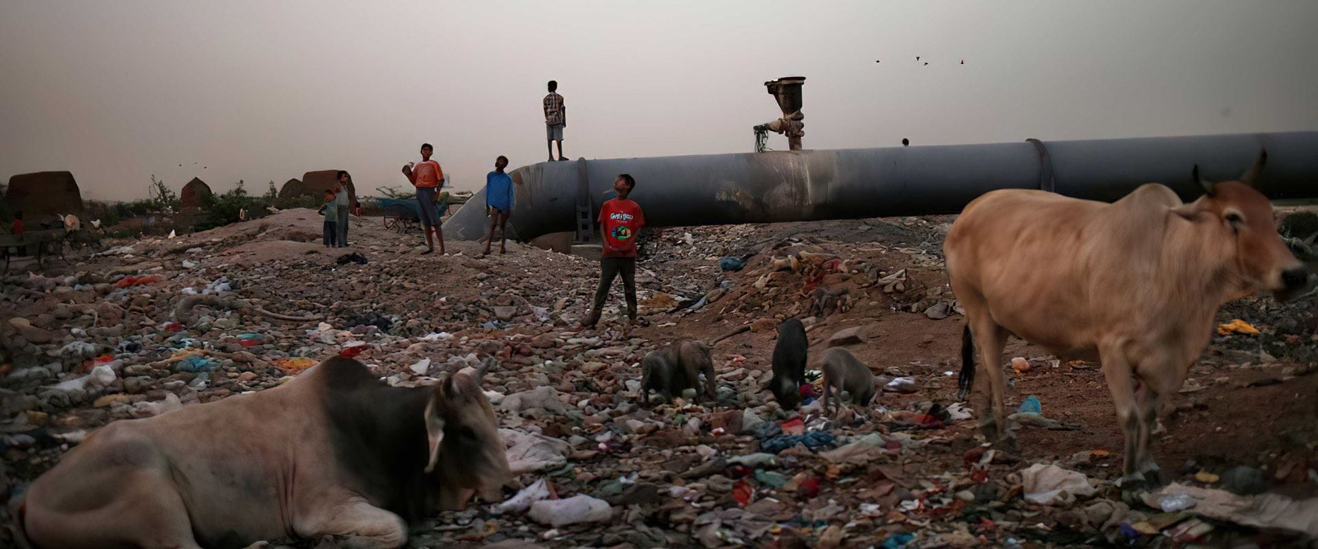 Public Disclosures Help Hold Politicians Accountable | Chicago Booth Review