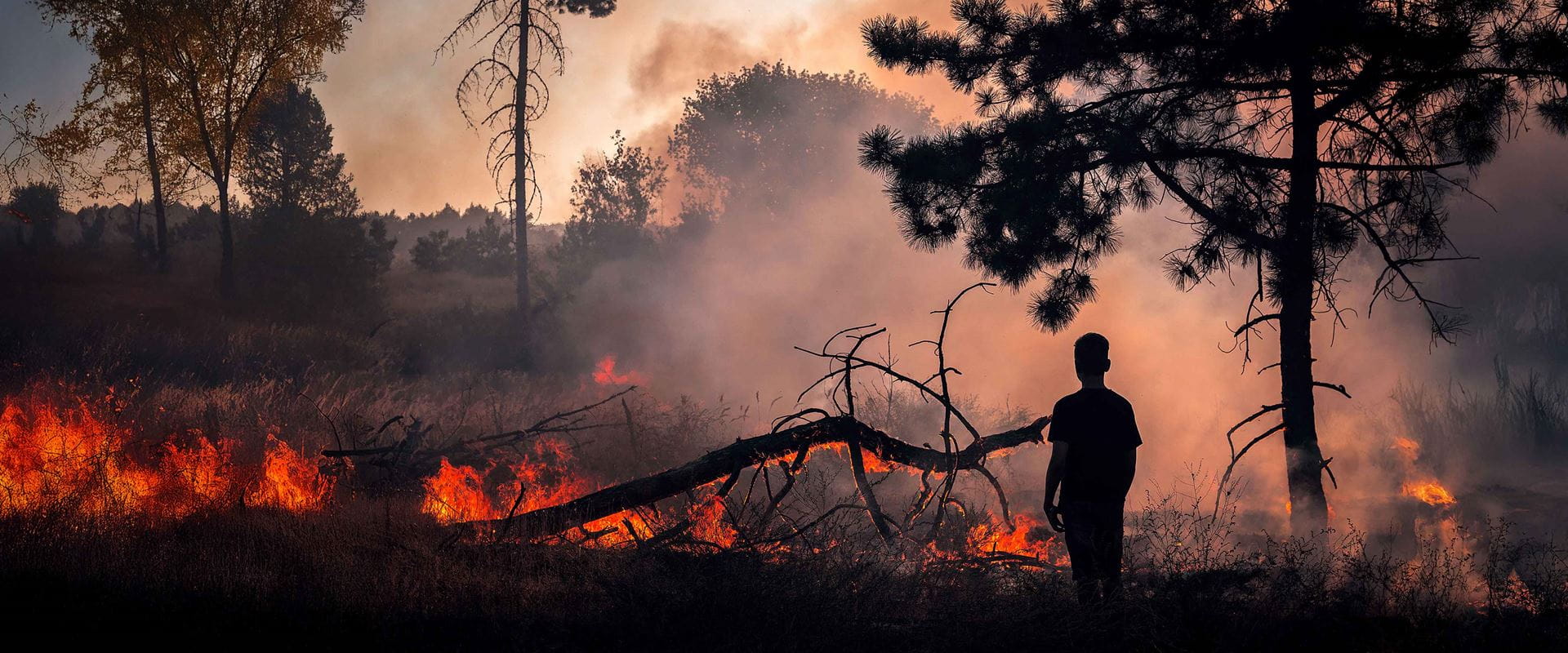 A Way to Shield Your Portfolio from Climate Change | Chicago Booth Review