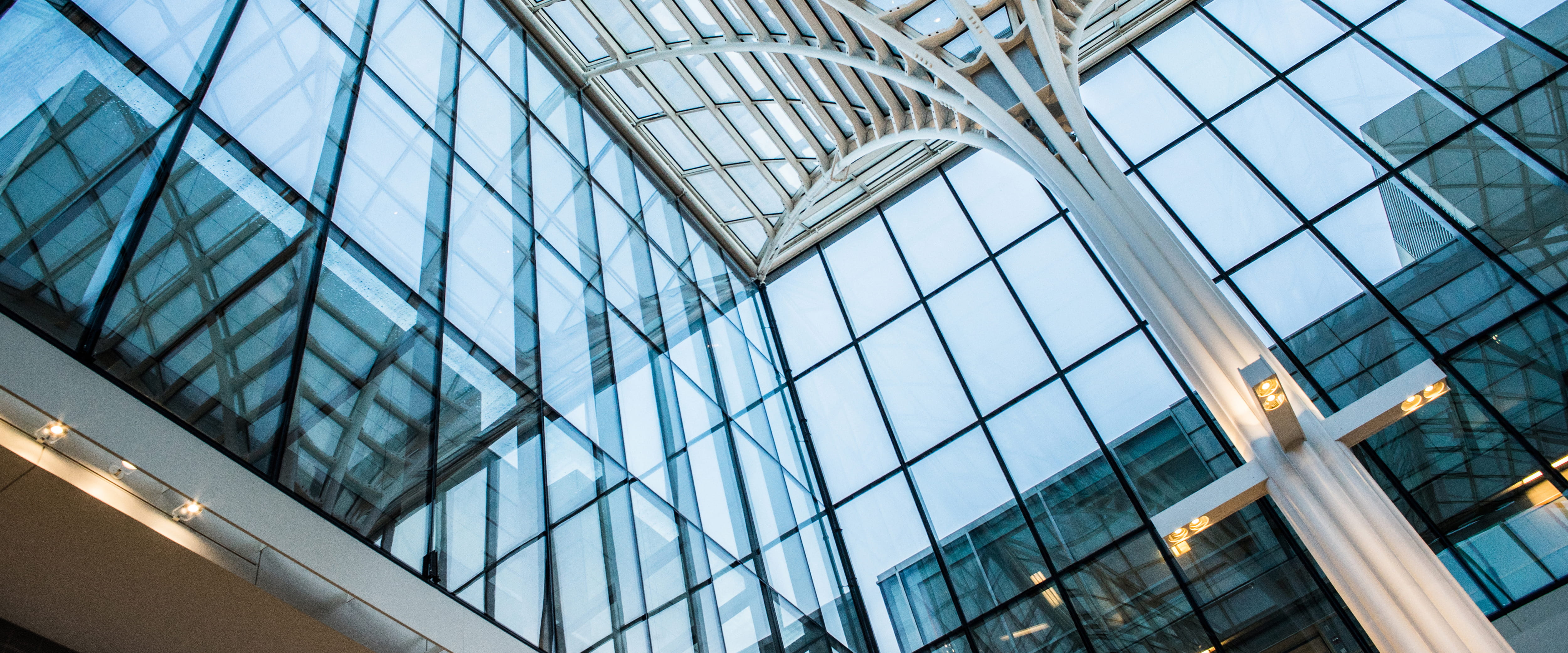 Cookie Notice | The University of Chicago Booth School of Business